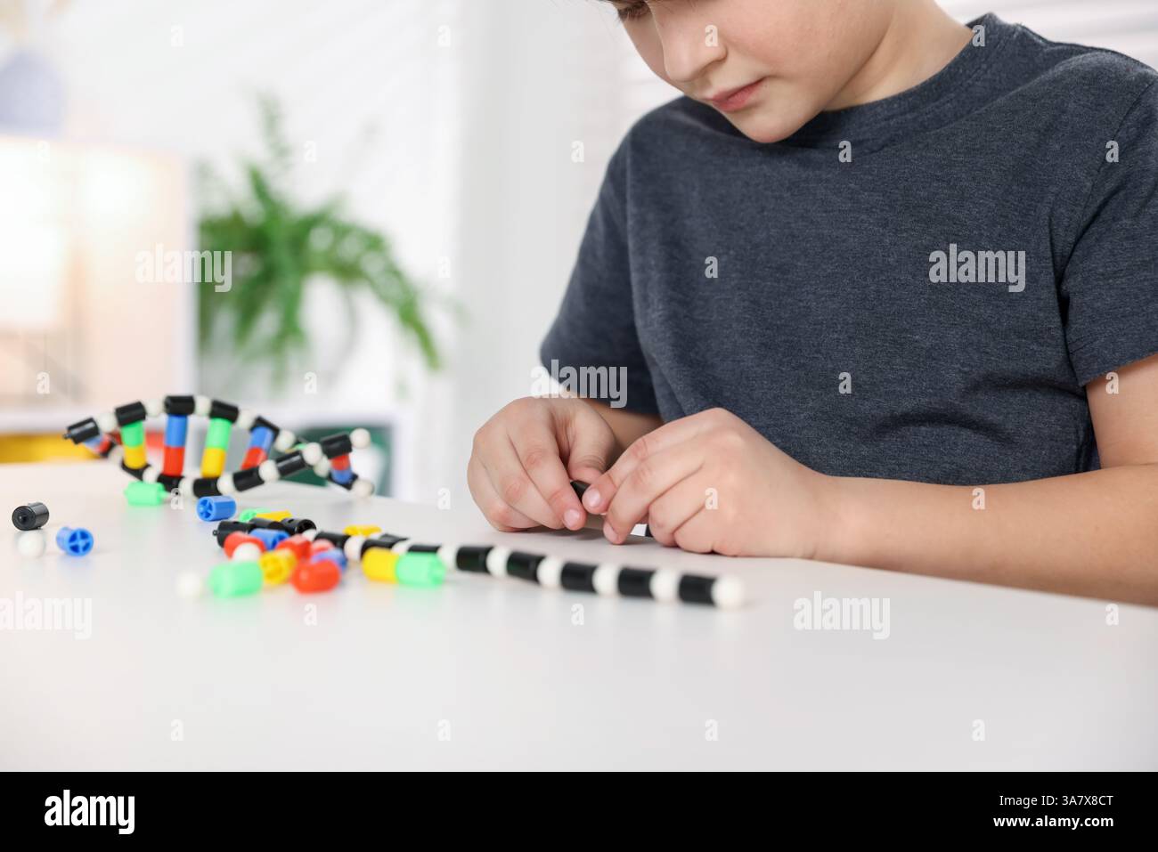 Boy making DNA structure model at desk indoors, closeup Stock Photo - Alamy