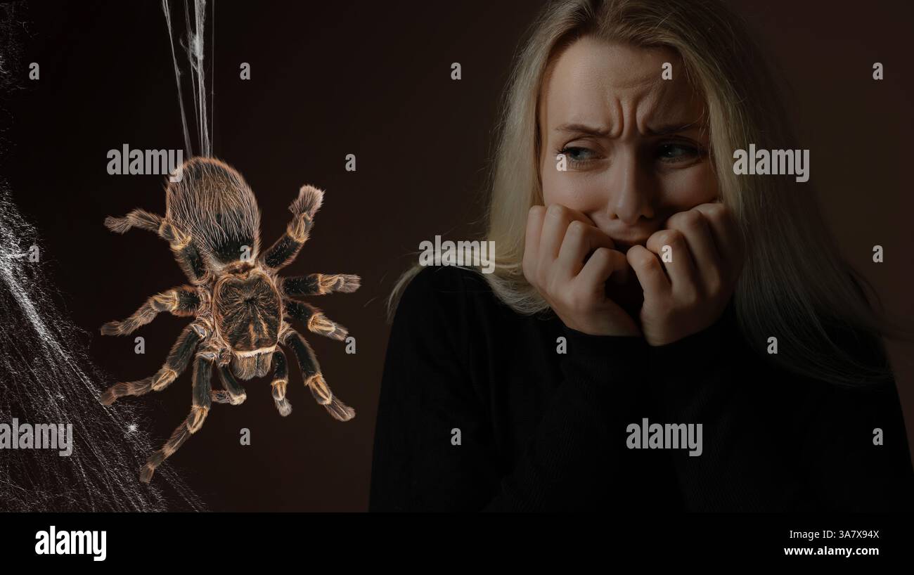 Scared woman and spider against dark background. Arachnophobia concept ...