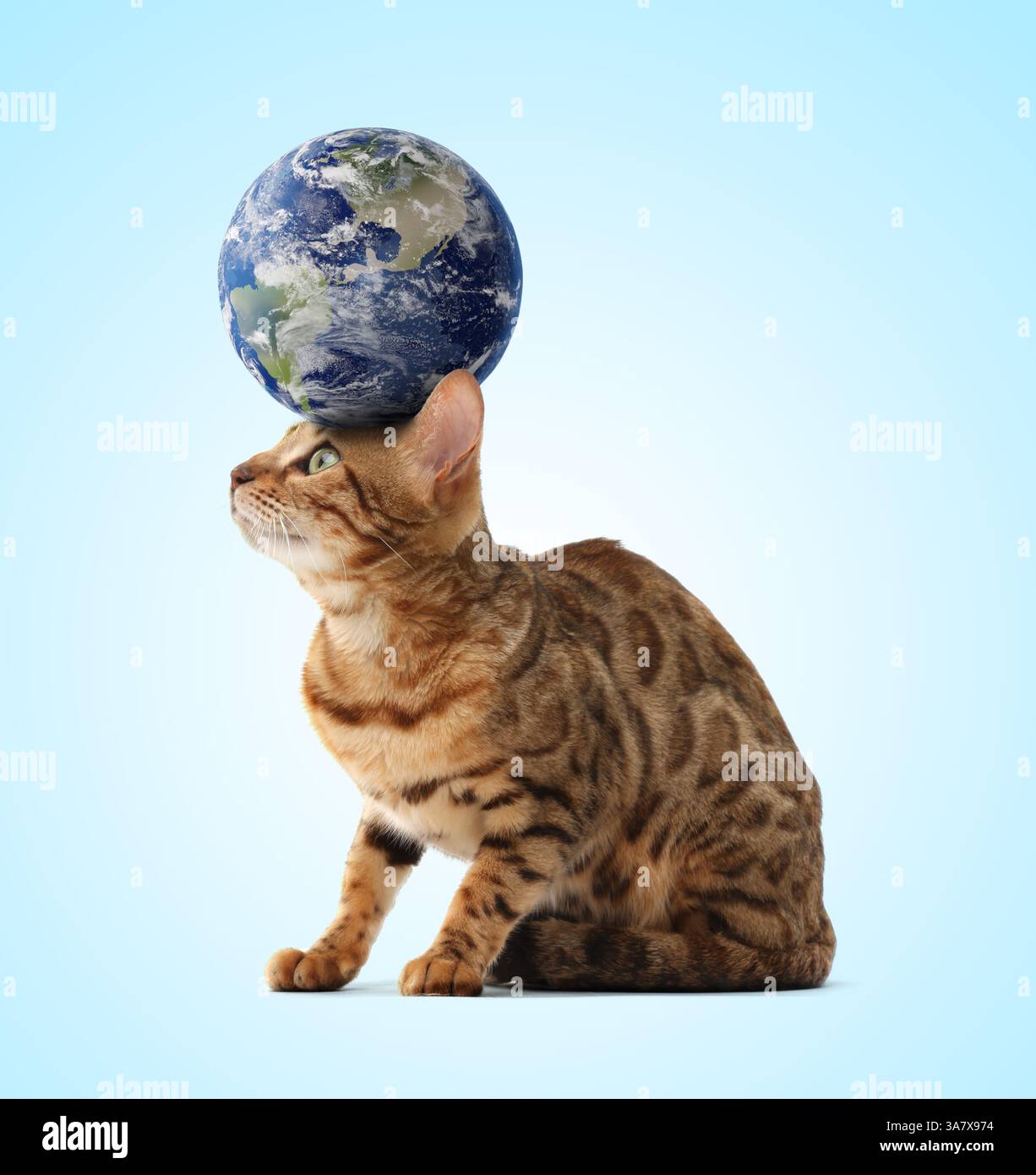 International cat day. Cute cat and earth globe on light blue gradient ...
