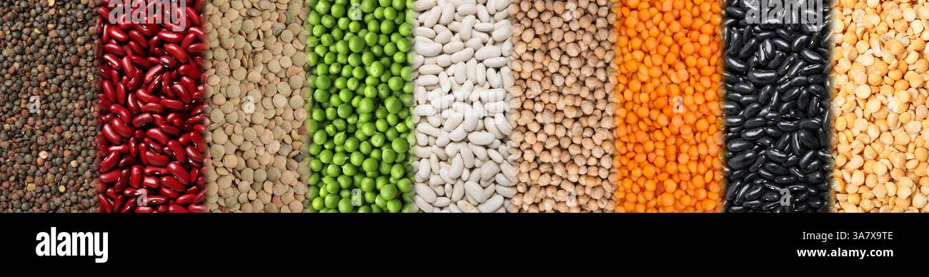 Different types of legumes, collage. Banner design Stock Photo - Alamy