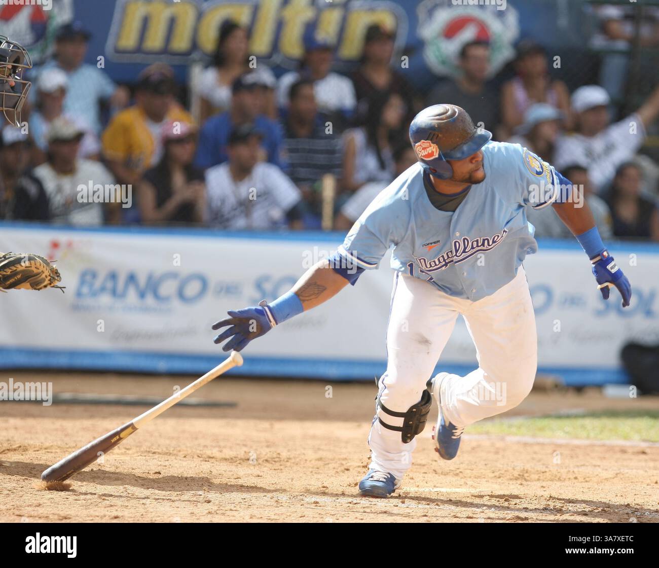 Magallanes gigantes hi-res stock photography and images - Alamy