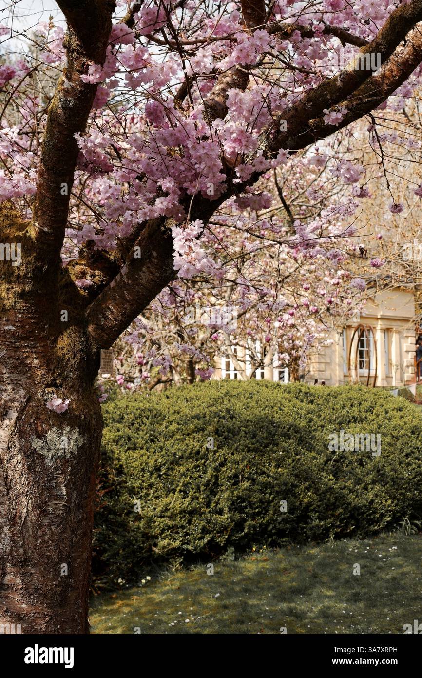 Spring article hi-res stock photography and images - Alamy