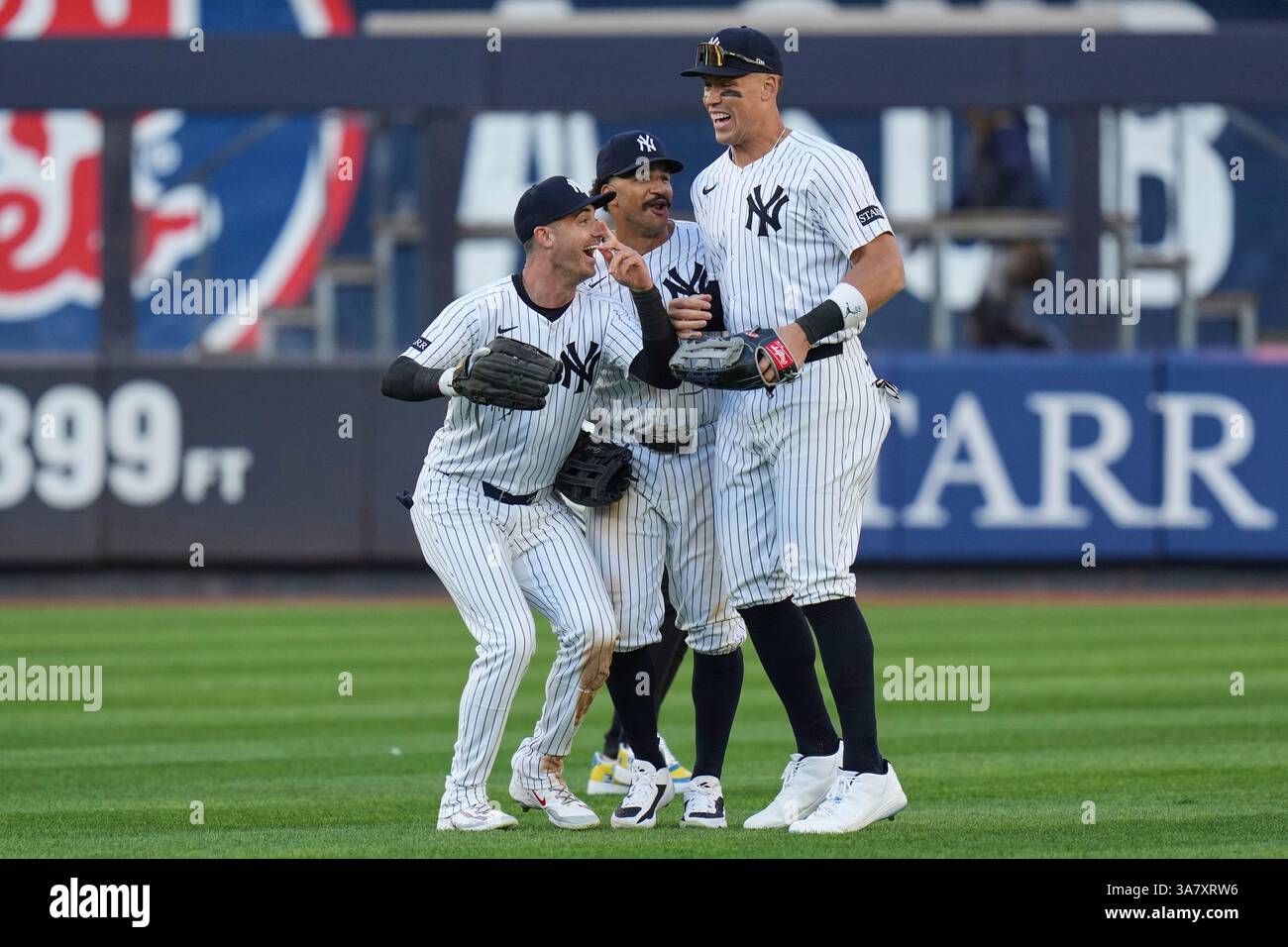 New York Yankees' outfielders Cody Bellinger, left, Trent Grisham ...