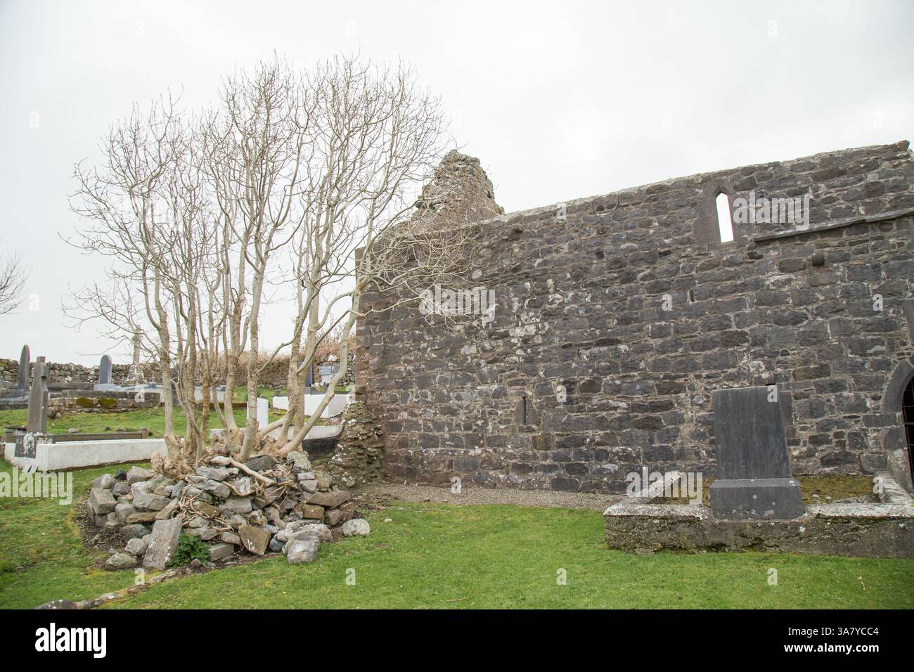 Murrisk Cemetery and abbey ruins Augustinian Friars Stock Photo - Alamy