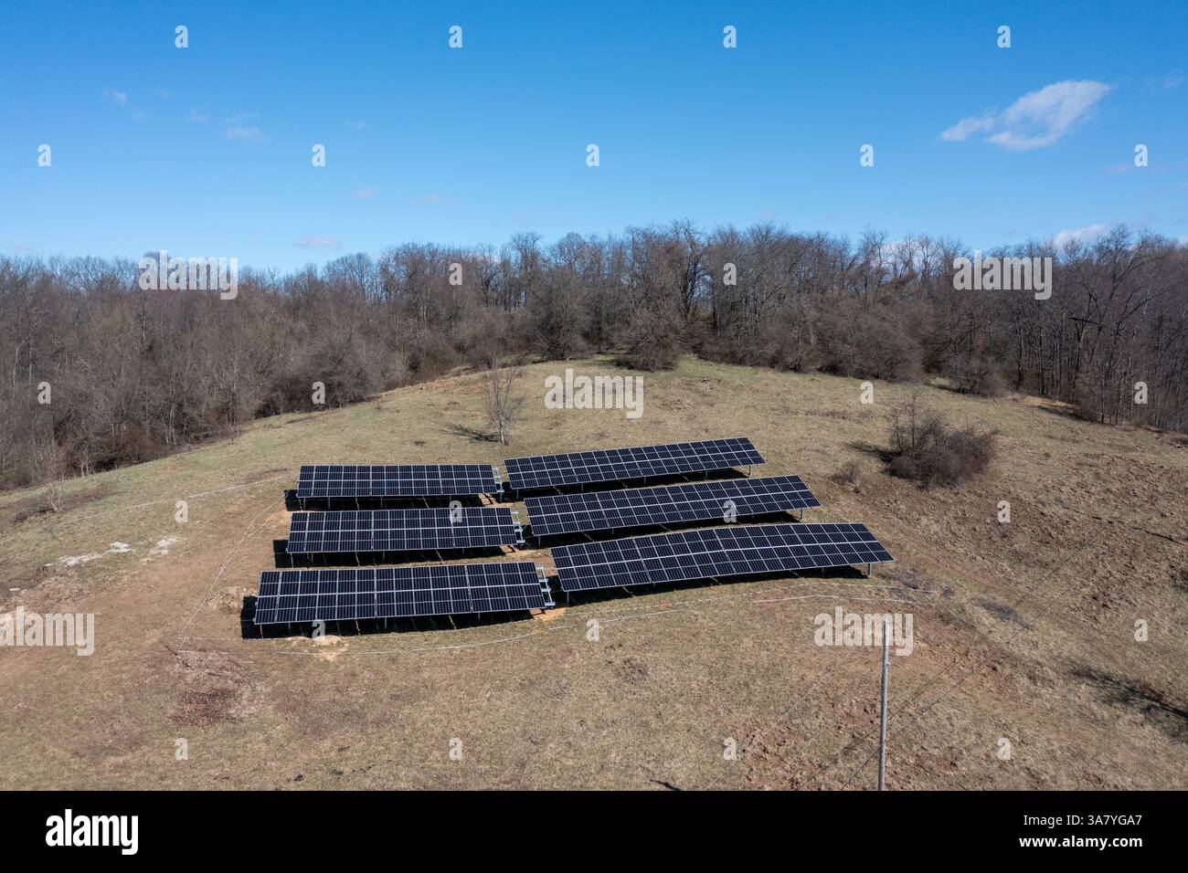 Fresno, Ohio, USA. 26th Mar, 2025. Solar panels at the Wooly Pig Farm ...