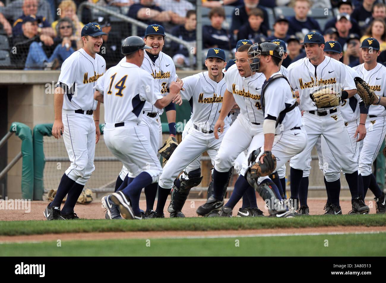 Wvu baseball hi-res stock photography and images - Alamy