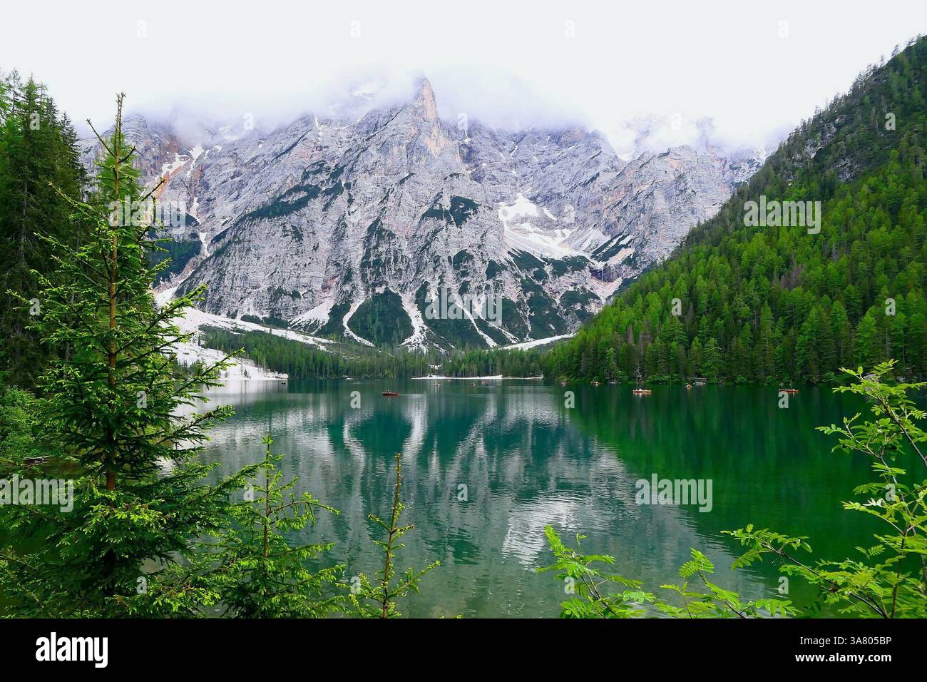 Scenic reflections in the emerald lake Lago di Braies surrounded by the rocky mountains of the ...