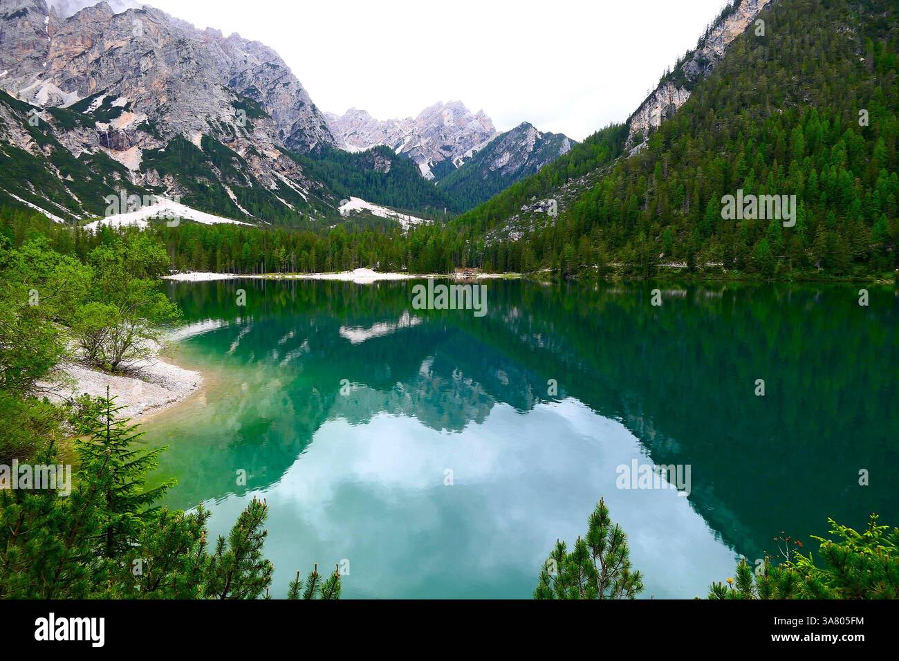 Scenic landscape with reflections in the emerald lake Lago di Braies in South Tyrol, Italy Stock ...
