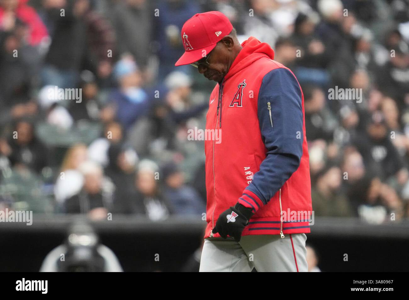 Los Angeles Angels manager Ron Washington looks down as he walks to the ...