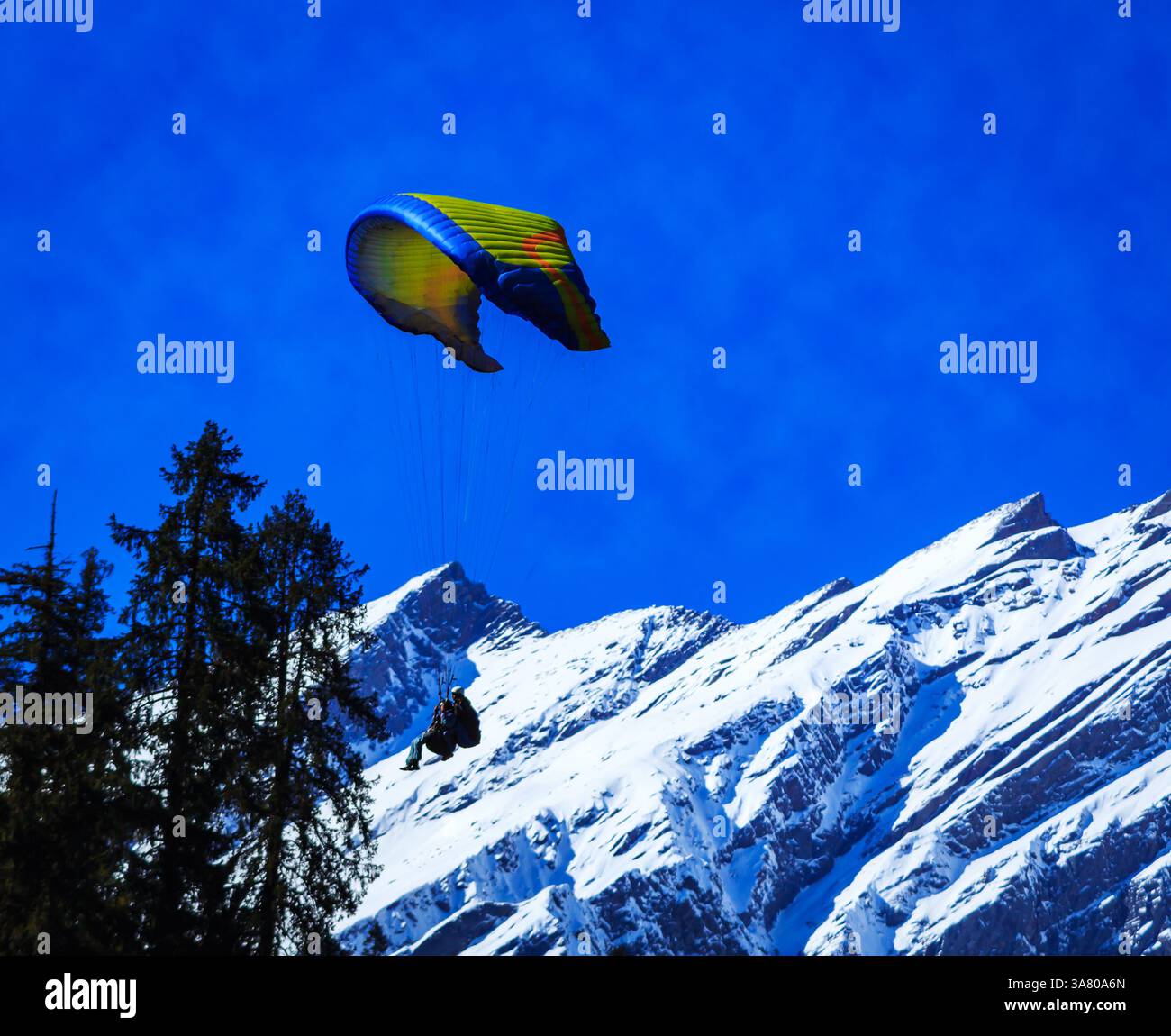 paragliding in solang valley near Manali India with snow mountains ...