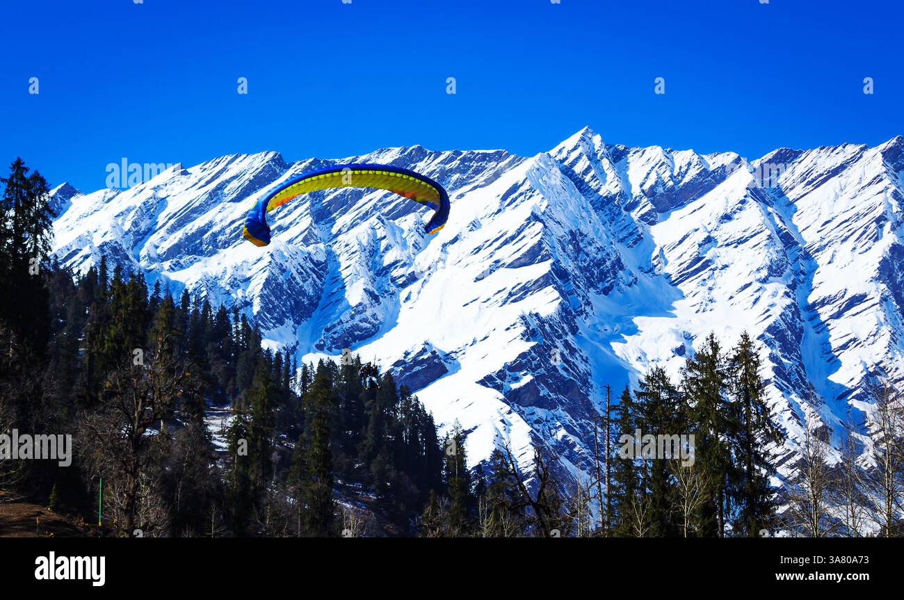 paragliding in solang valley near Manali India with snow mountains ...