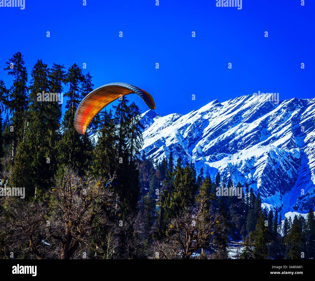 Thrilling Parasailing Adventure in Solang Valley, Manali , Himalayas ...