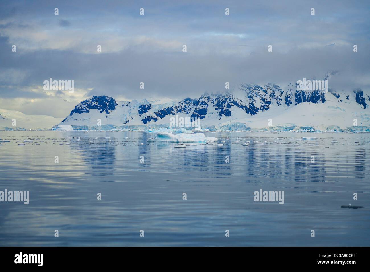 Paradise Bay, Antarctica - Iceberg floating in the icy waters of a ...