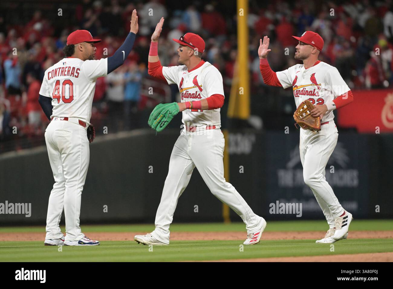 St. Louis Cardinals' Lars Nootbaar (21), Willson Contreras (40) and ...