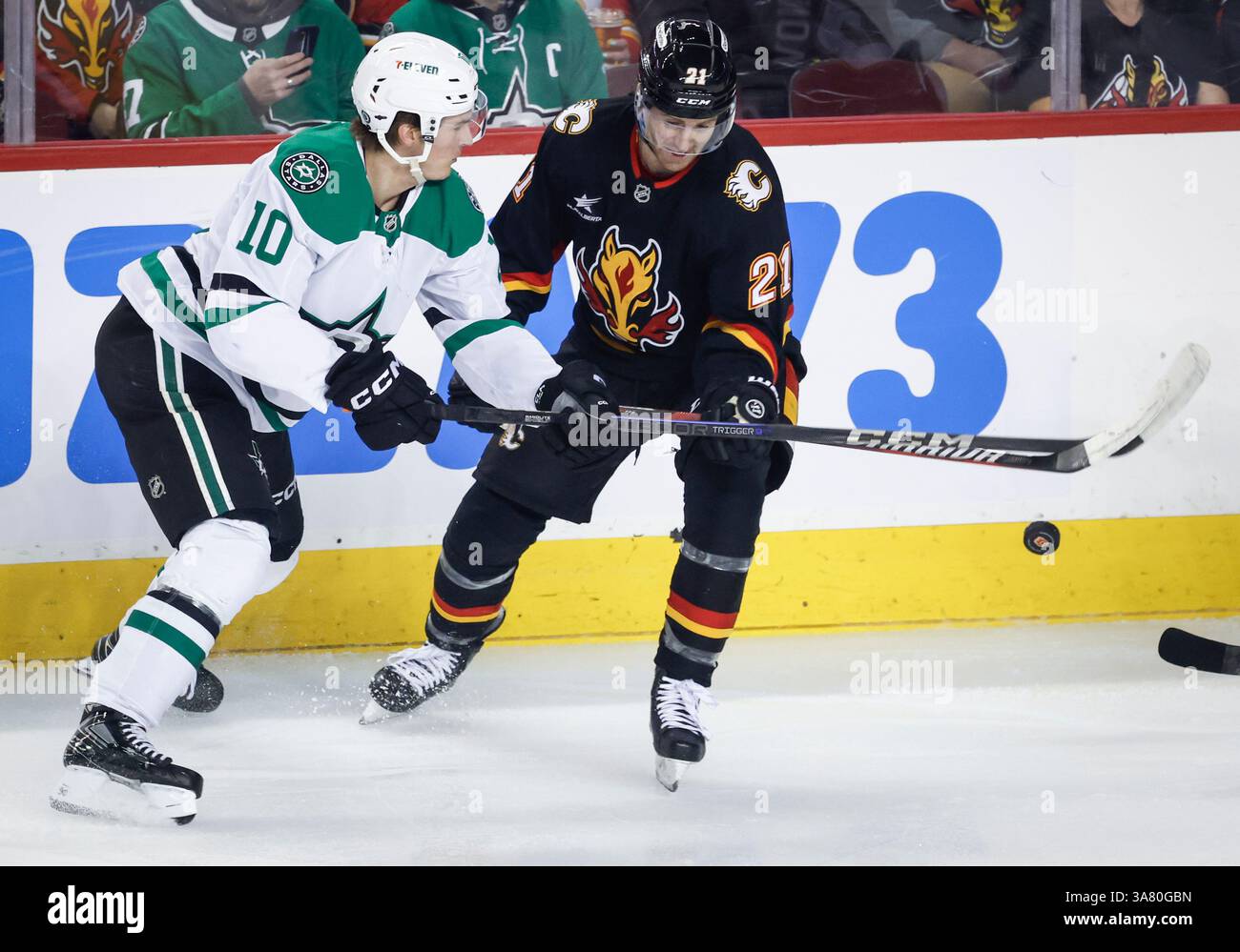Dallas Stars' Oskar Back, left, and Calgary Flames' Kevin Rooney battle ...