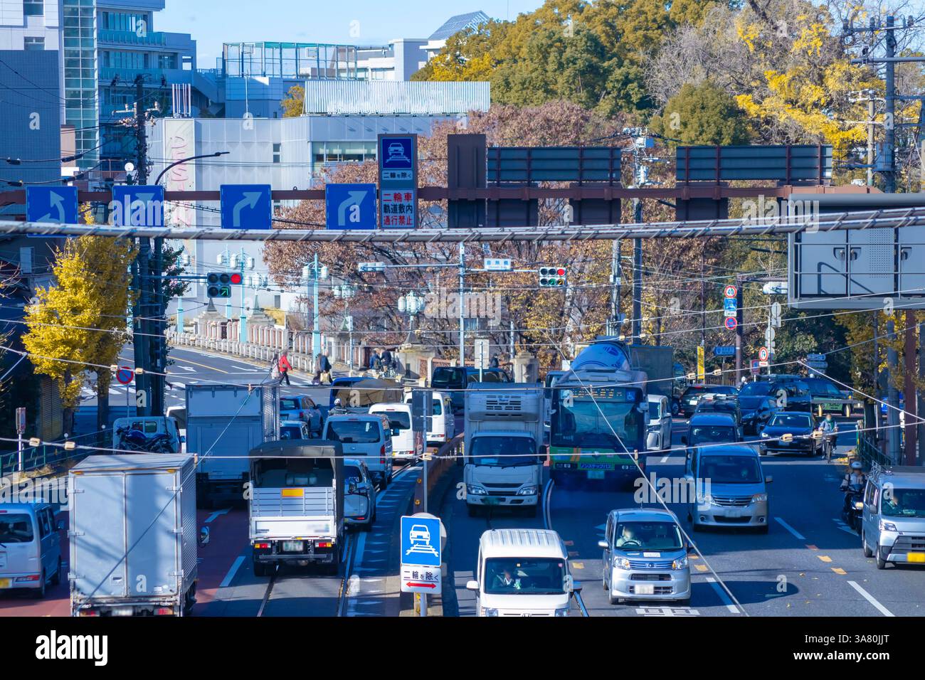 A traffic jam of car and tram at the yellow gingko tree street ...