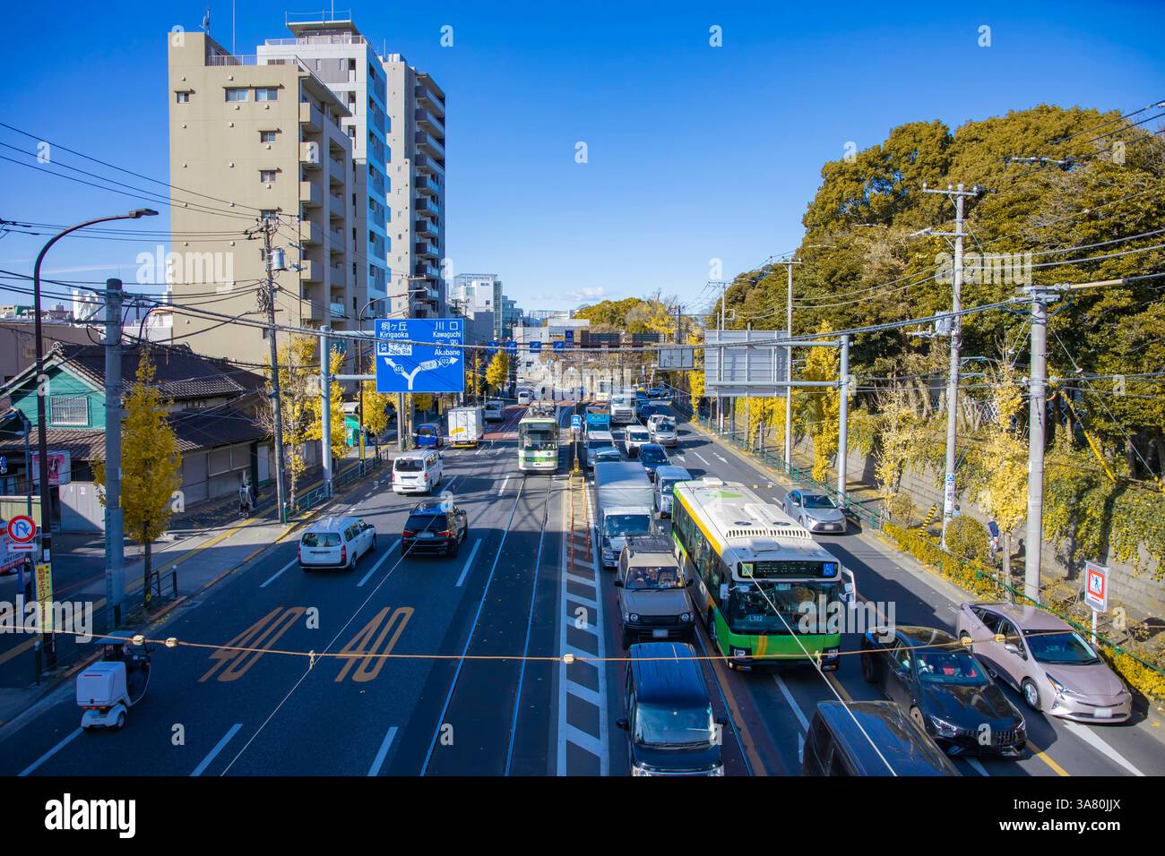 A traffic jam of car and tram at the yellow gingko tree street Stock ...