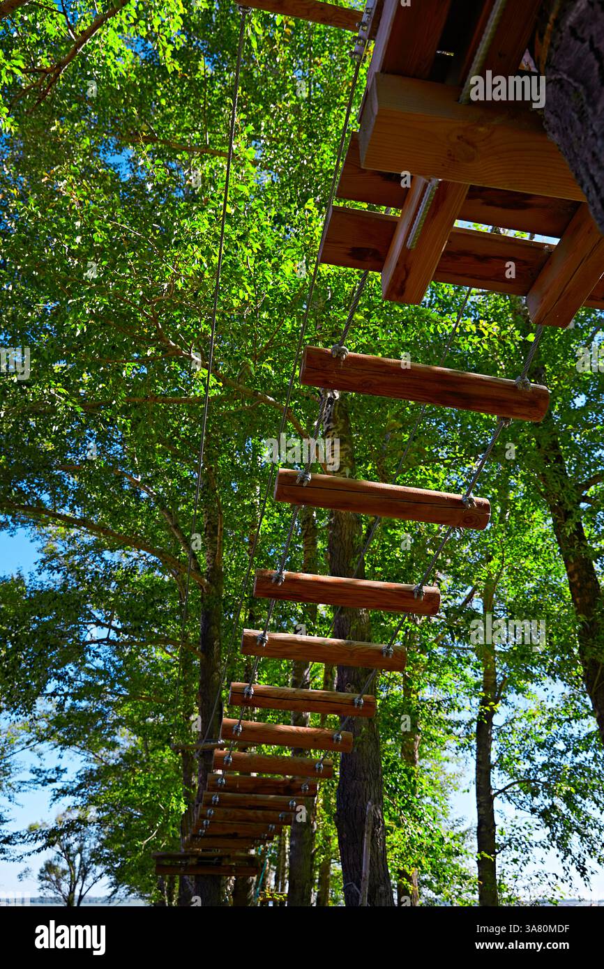 Wooden Walkway Through Forest Stock Photo - Alamy
