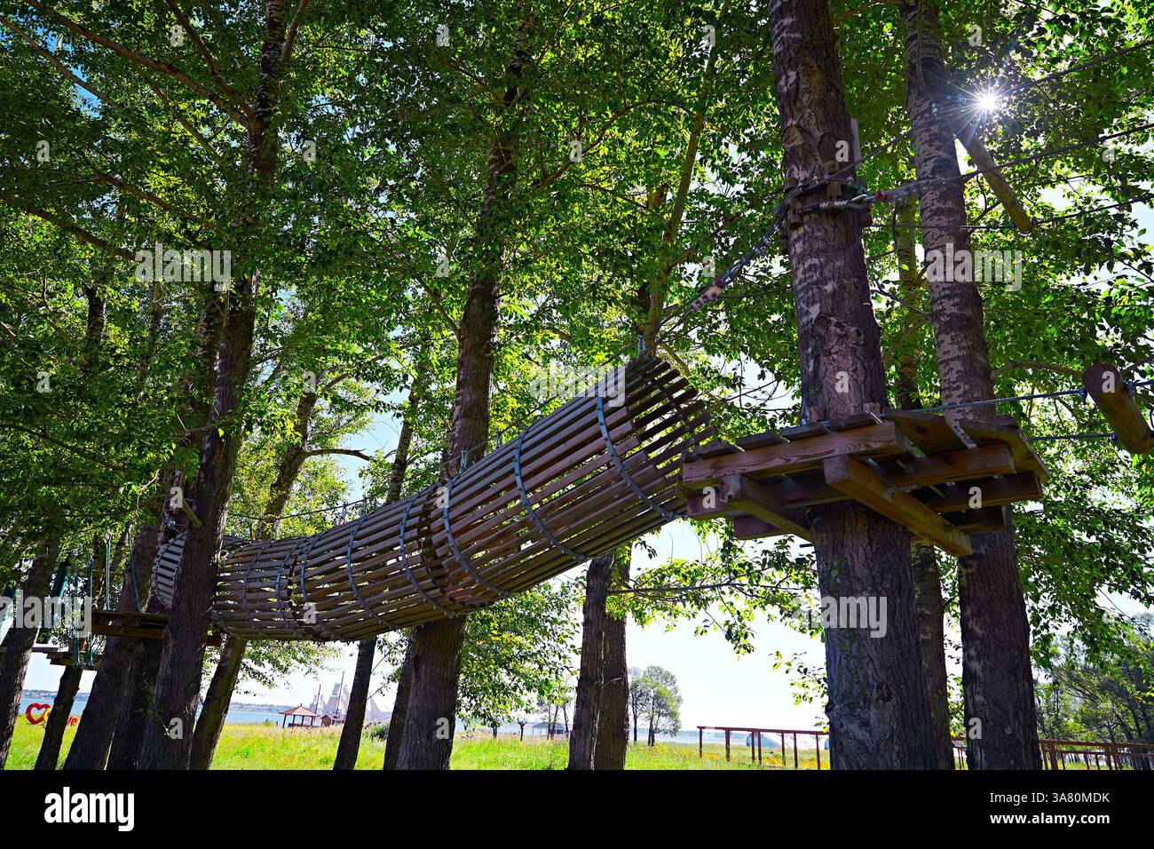 Wooden Walkway Through Forest Stock Photo - Alamy