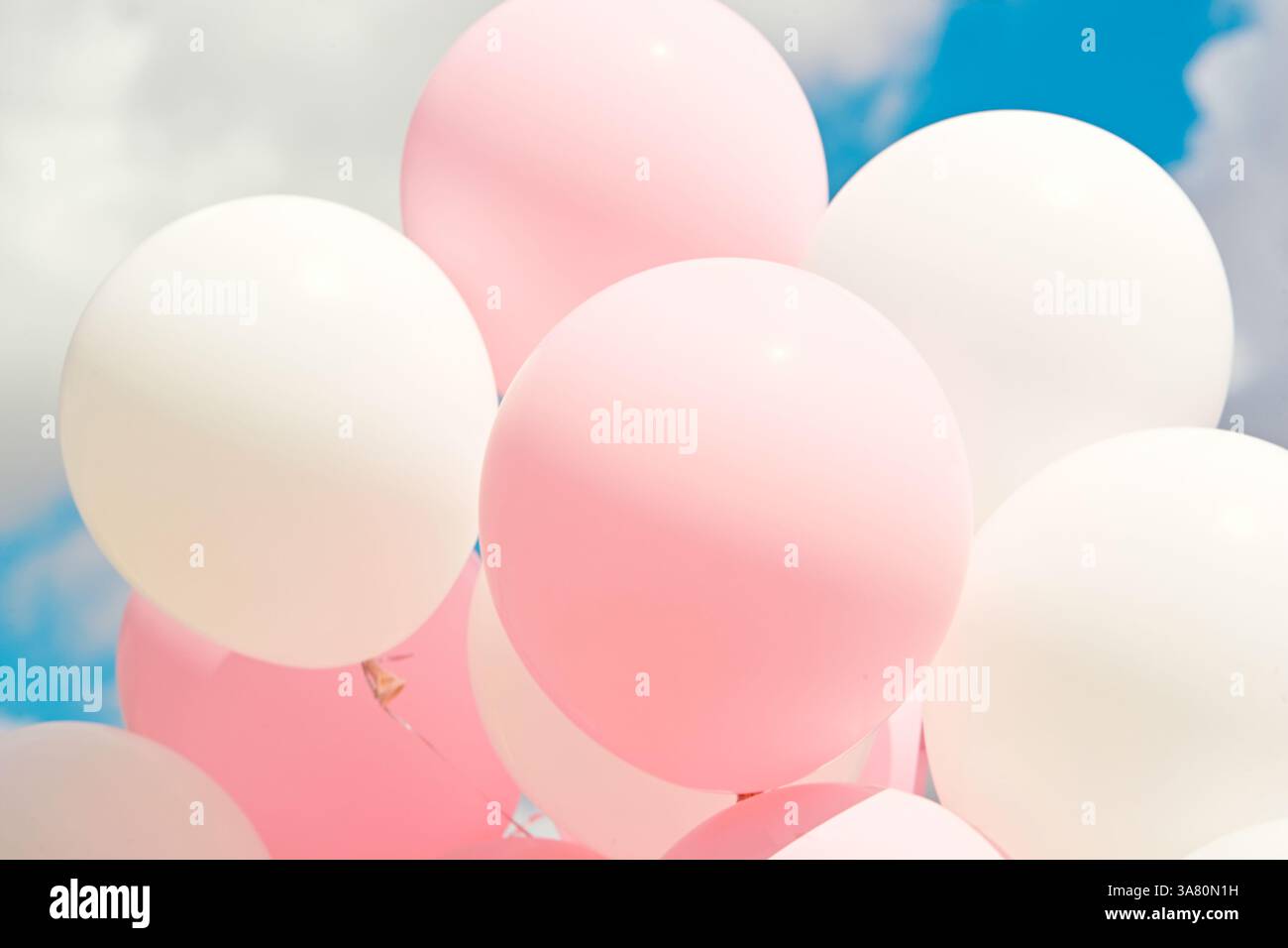 White and pink balloons hi-res stock photography and images - Alamy