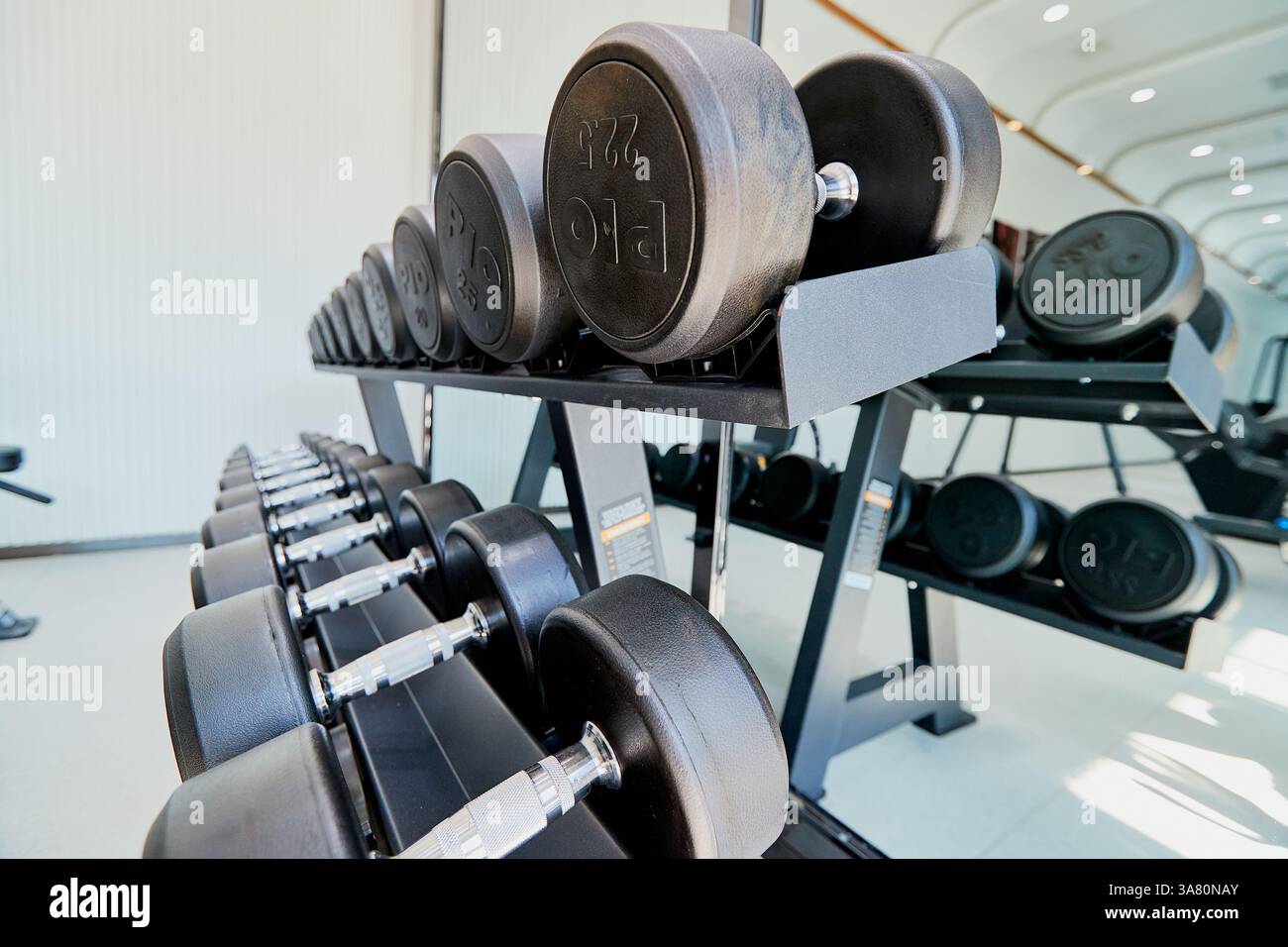 Black dumbbell rack hi-res stock photography and images - Alamy