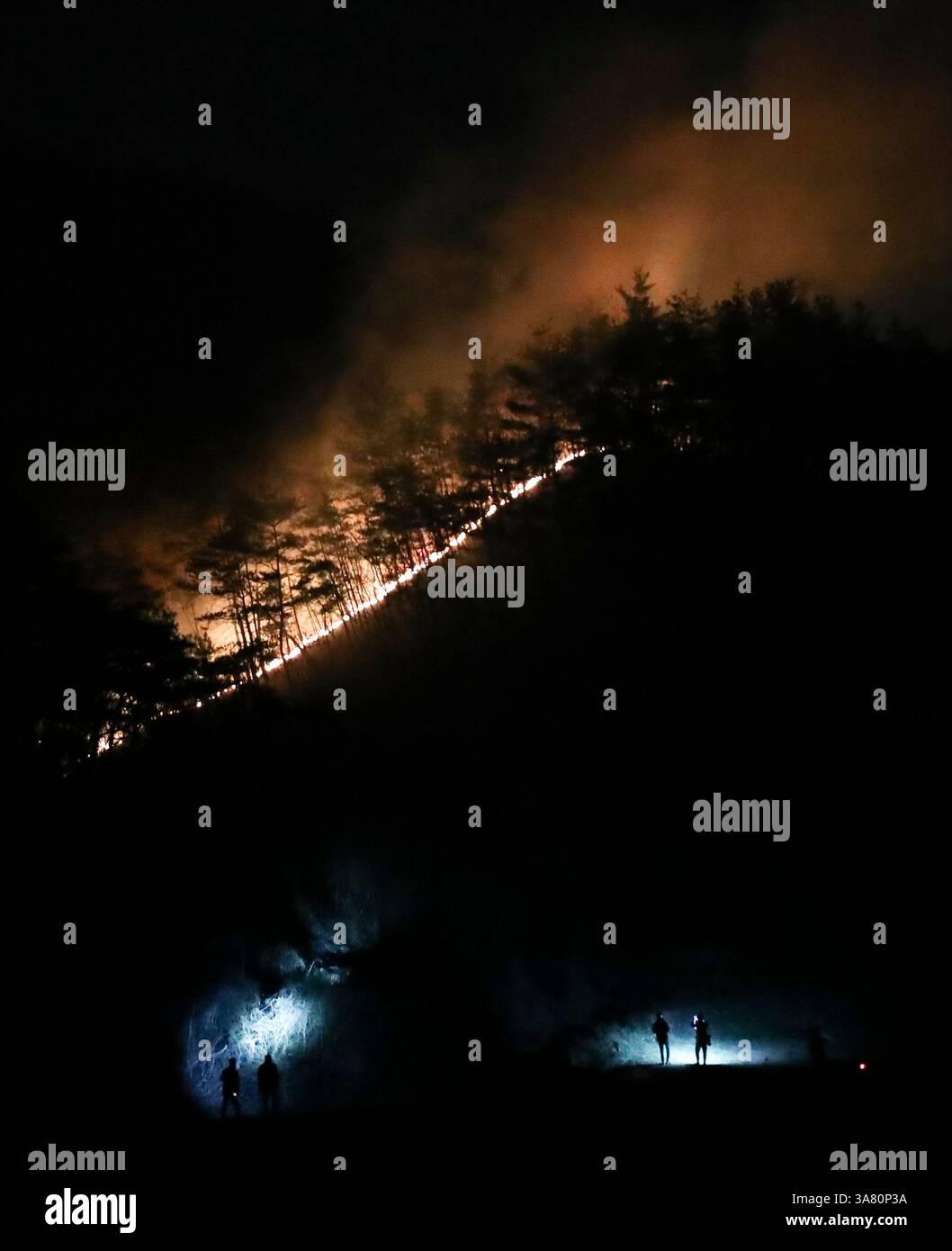 Beijing, China. 27th Mar, 2025. This photo taken on March 27, 2025 ...