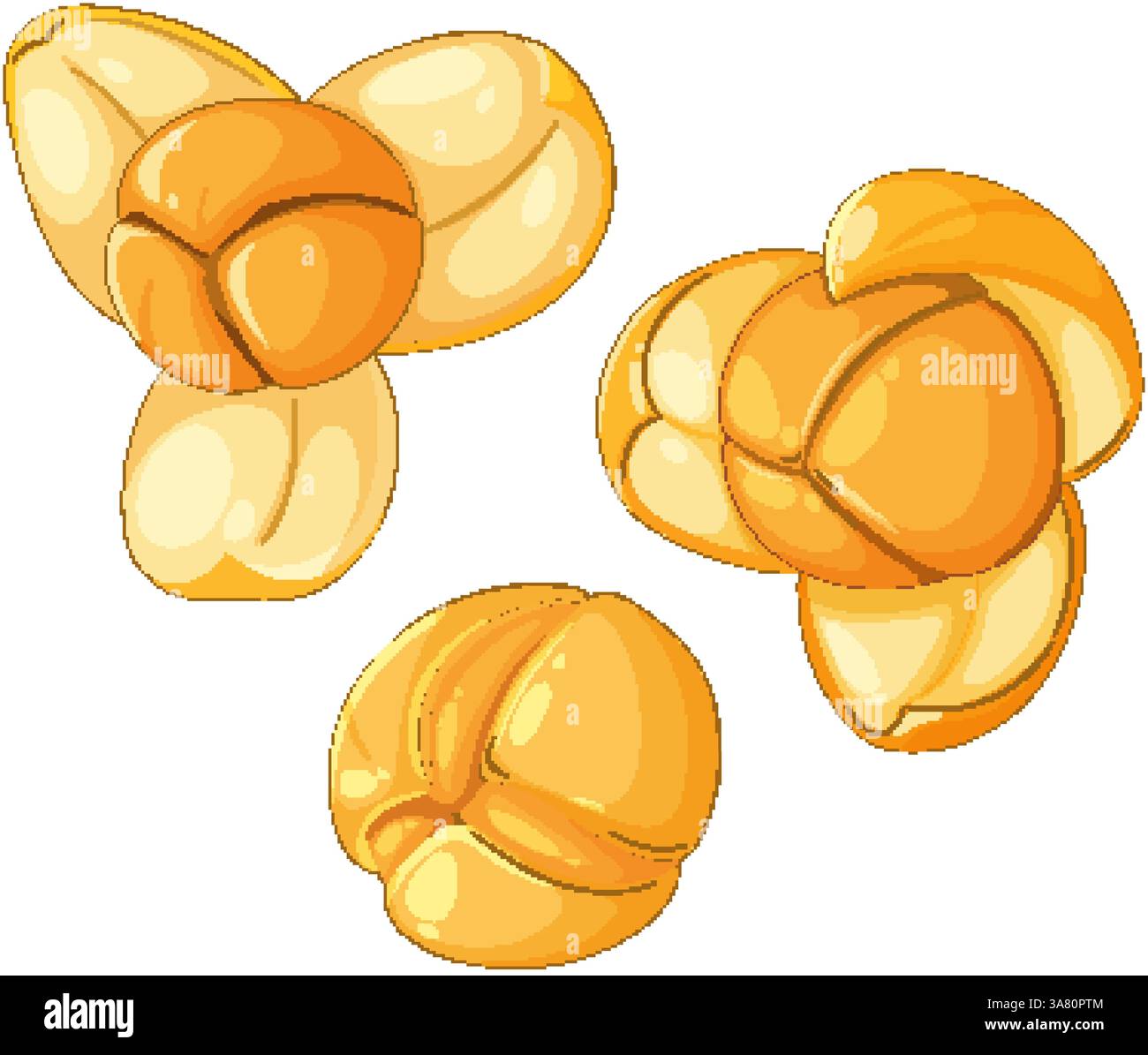 Detailed vector illustration of jackfruit seeds with vibrant colors and ...
