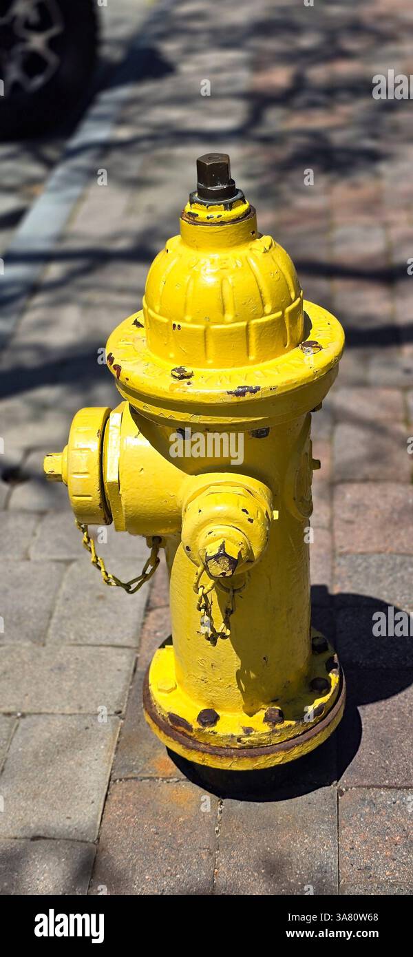 a yellow fire hydrant on the street in Florence, Italy Stock Photo - Alamy