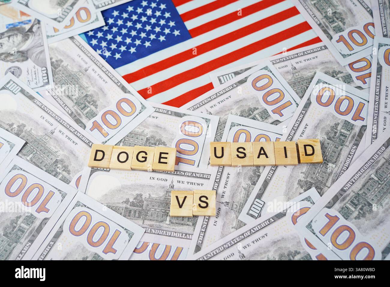 The inscription DOGE VS USAID on the background of the US flag and ...