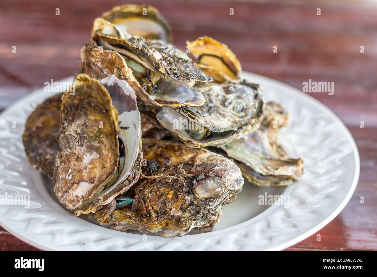 A plate of freshly steamed oysters served at a local seaside restaurant ...