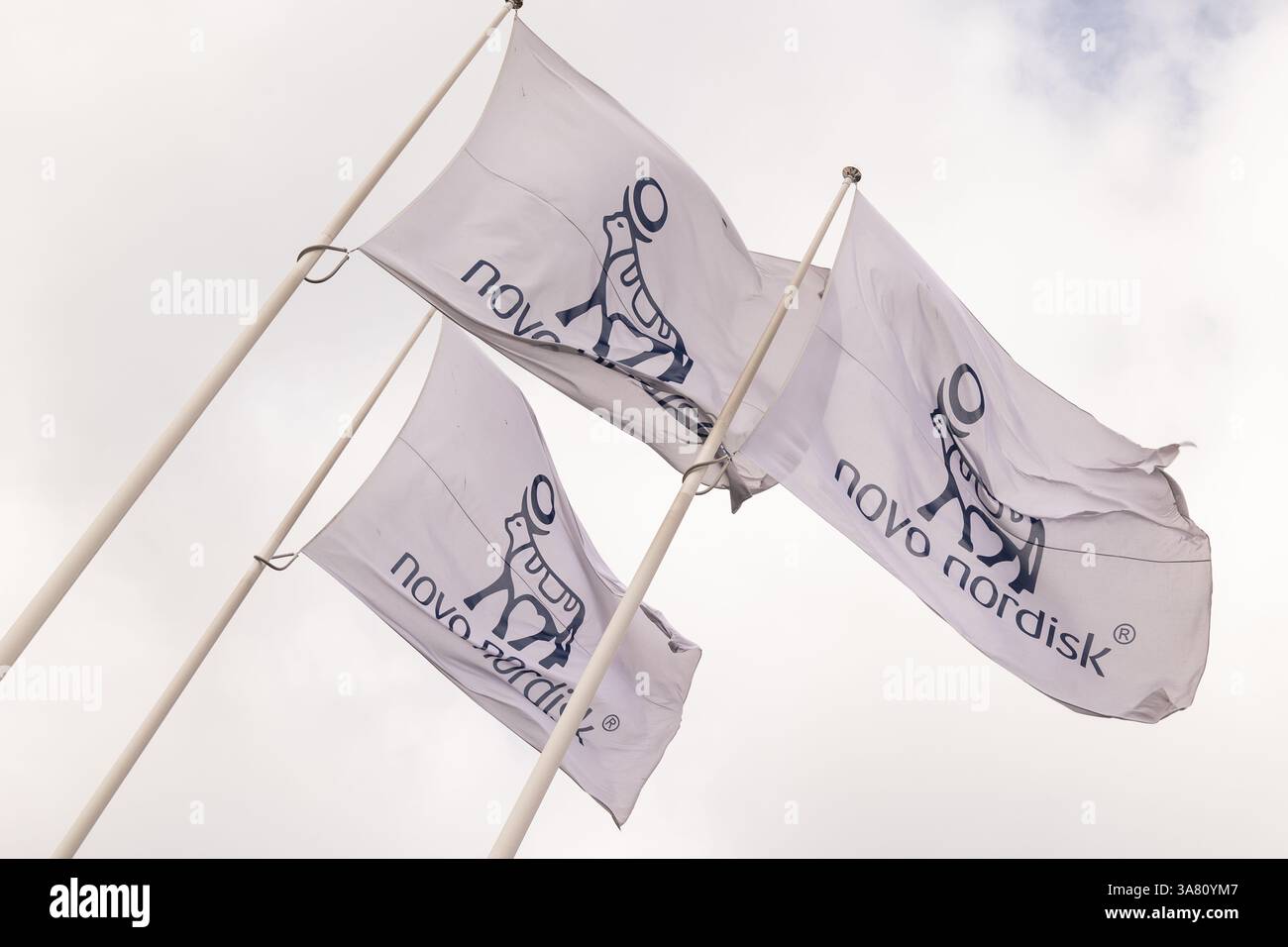 Flags with the Danish multinational pharmaceutical company Novo Nordisk ...