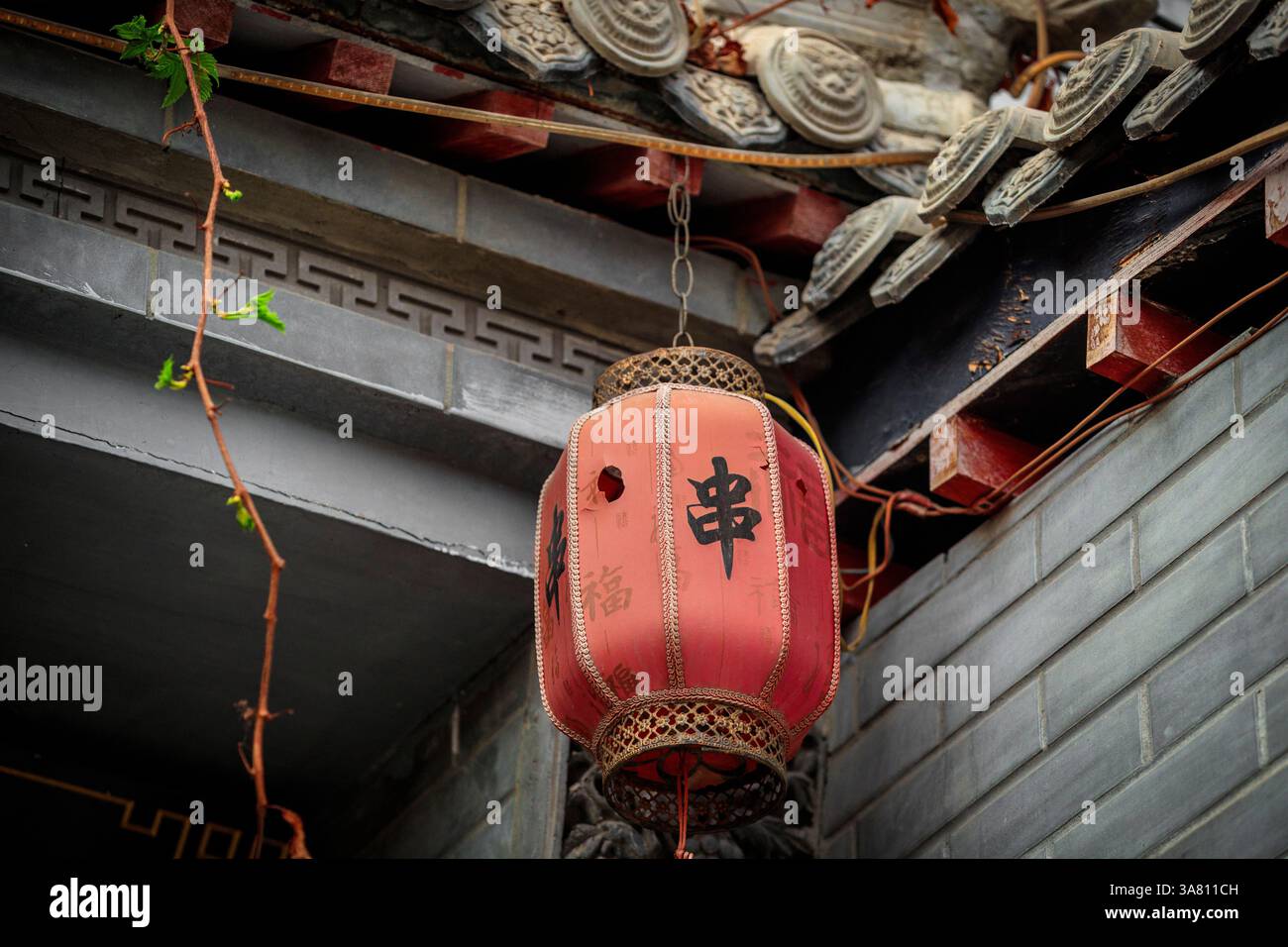 Traditional Chinese Lantern and Vine-Covered Architecture Stock Photo ...