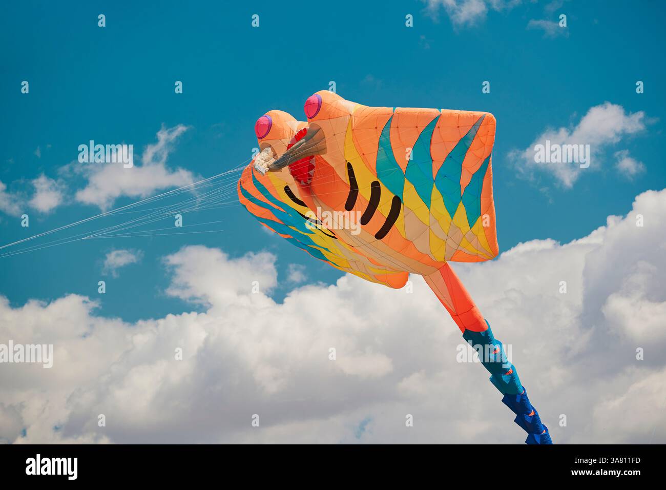 Colorful Kites Flying Over Open Field Stock Photo - Alamy