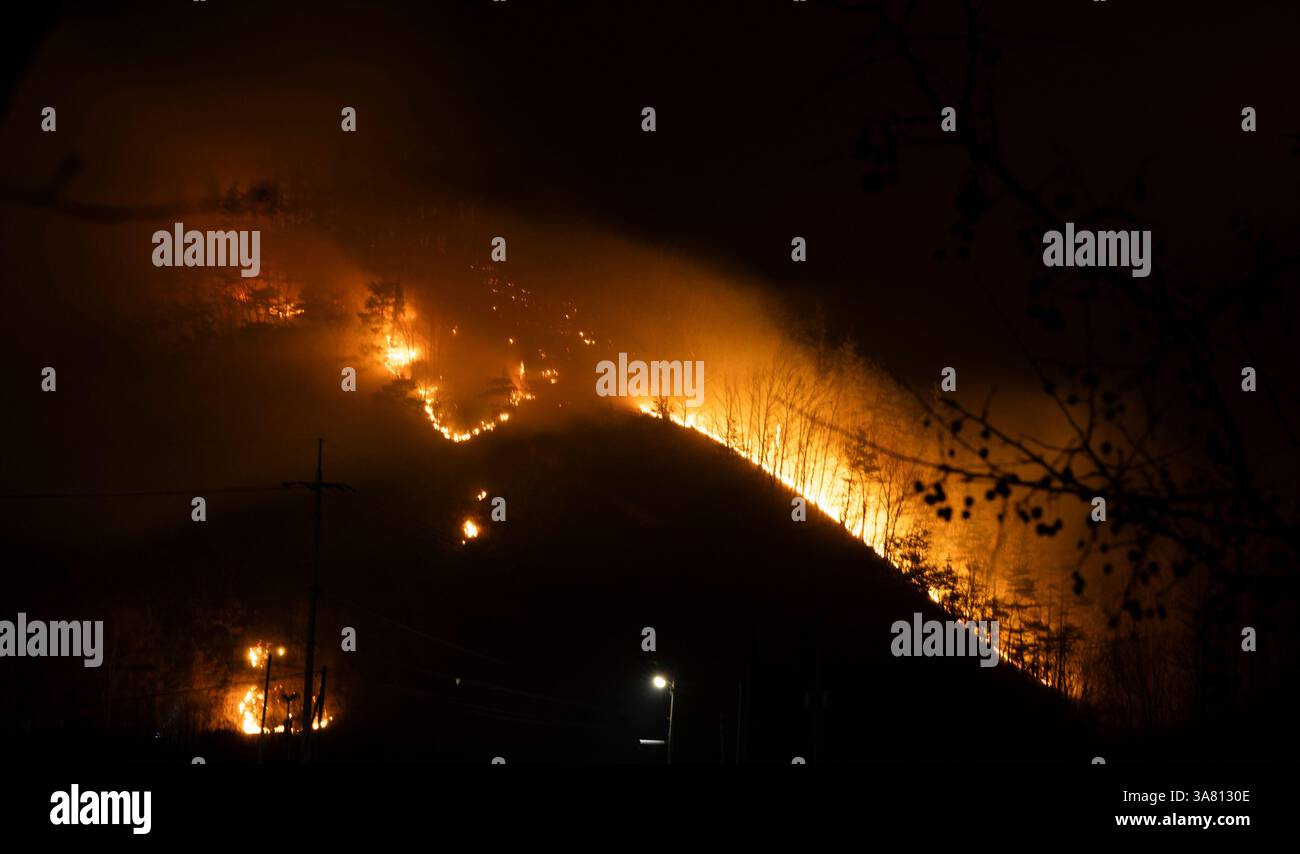 Gyeongsang. 27th Mar, 2025. This photo taken on March 27, 2025 shows a ...