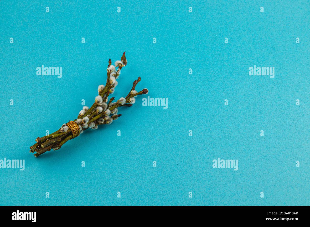 Willow branches symbolize Palm Sunday and Easter, representing renewal ...