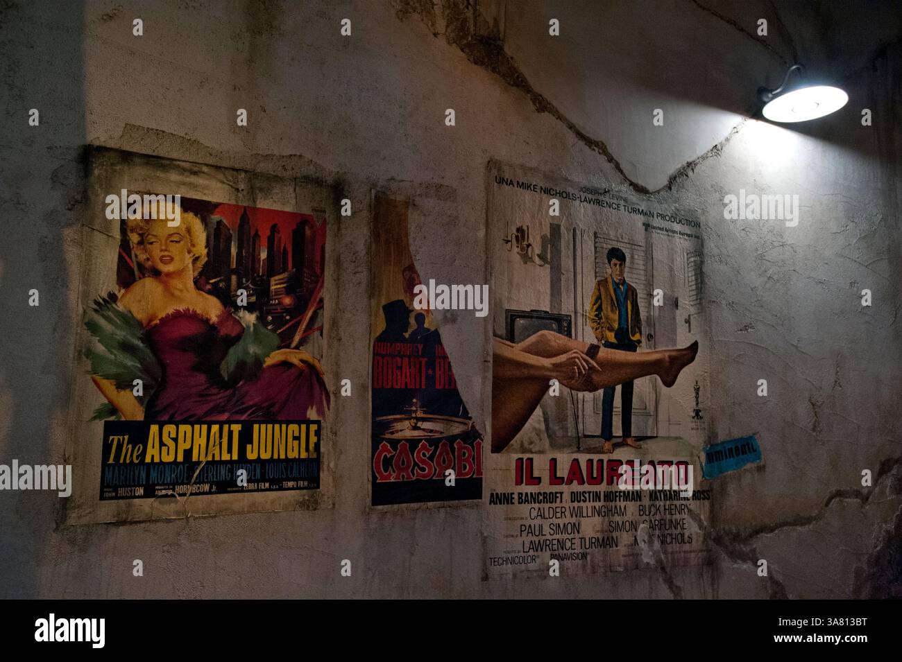 The Mega Web Toyota City Showcase inside the History Garage at Palette ...