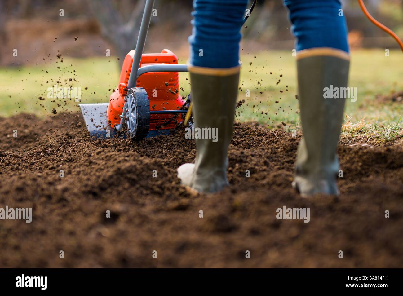 Gardener preparing garden beds for planting. Using rotovator, garden ...