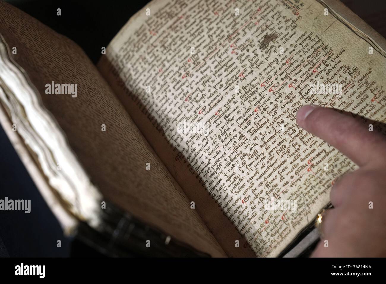 A 15th century manuscript containing a fertility cure made from weasels ...