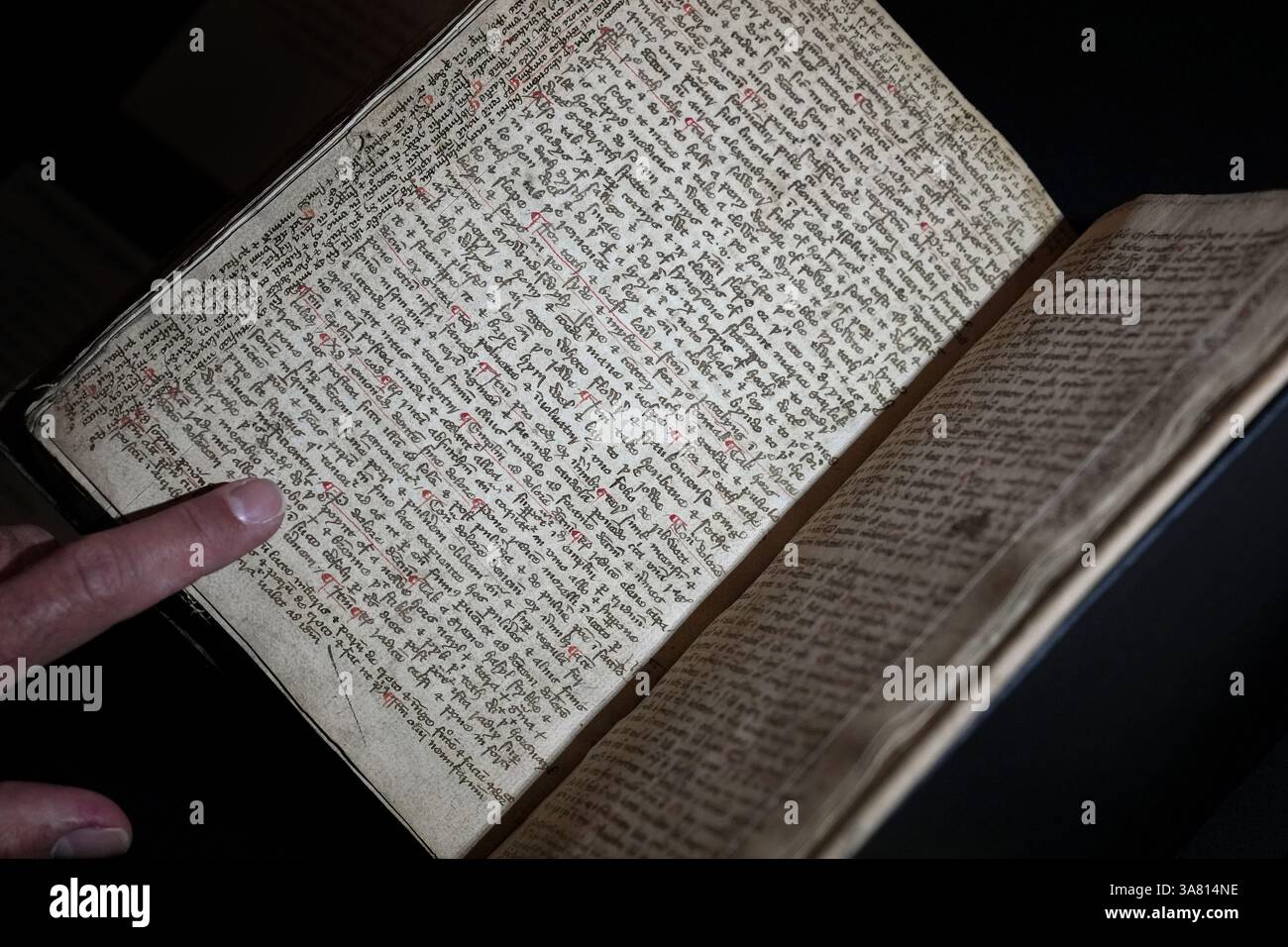 A 15th century manuscript containing a fertility cure made from weasels ...