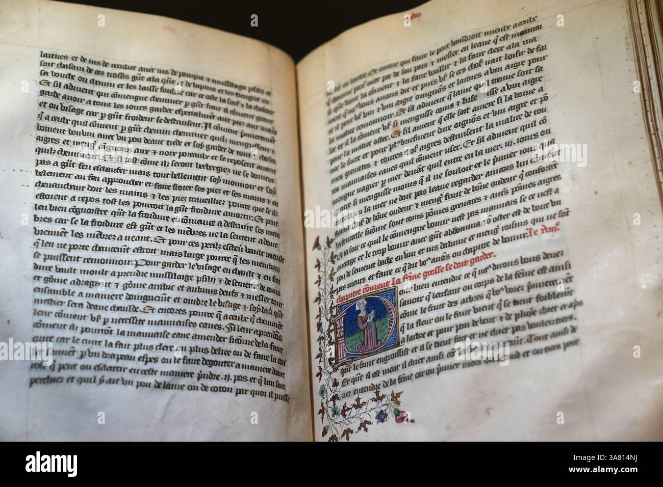 A manuscript belonging to Elizabeth of York, Queen of England, wife of ...