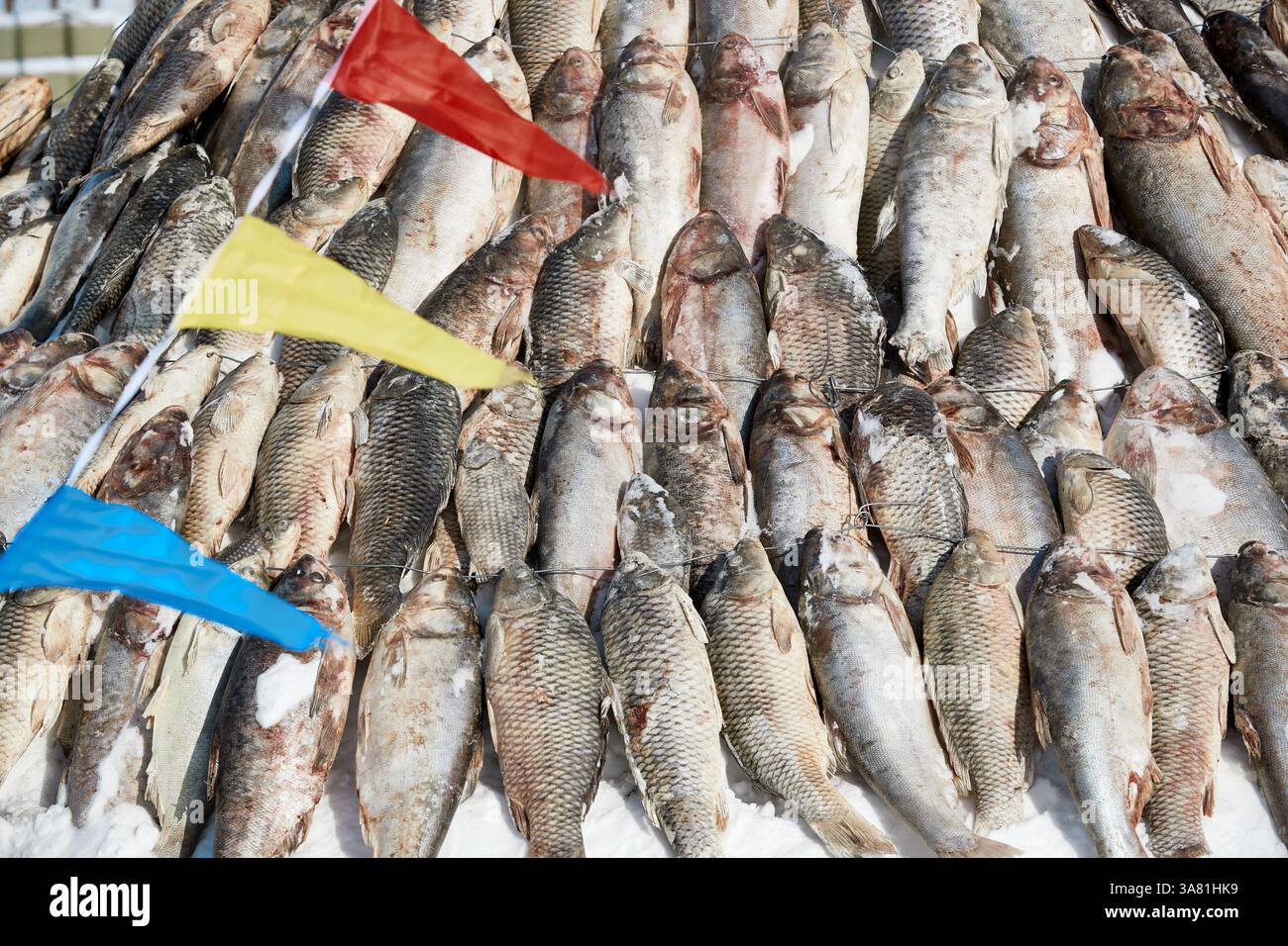 Pyramid of Fish on Snow with Colorful Flags Stock Photo - Alamy