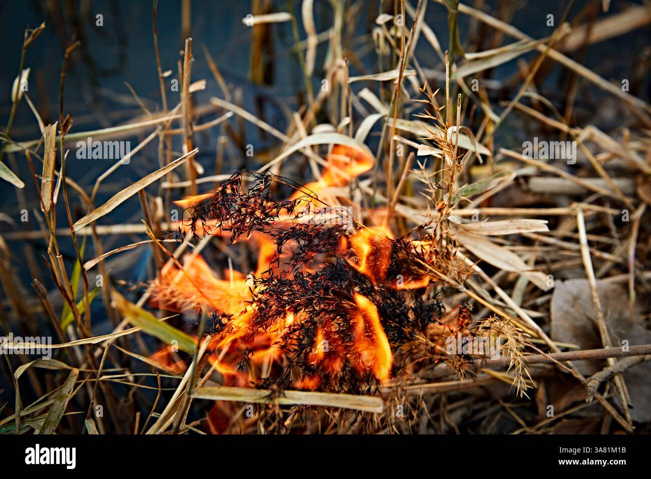 Burning scrap hi-res stock photography and images - Alamy