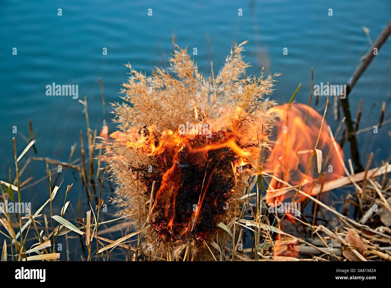 Fire burn heat burning blue hi-res stock photography and images - Alamy