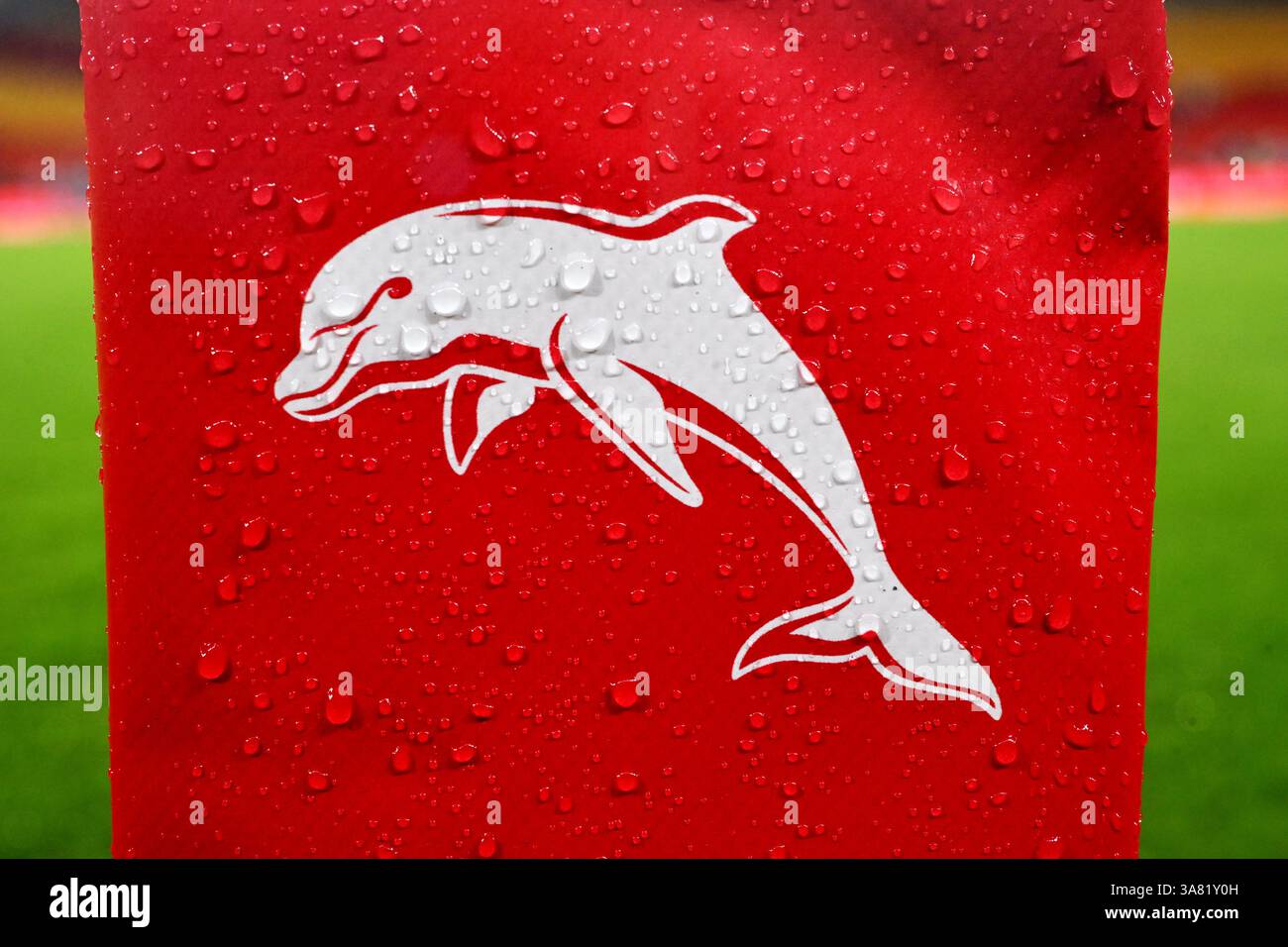 A Dolphins logo is seen prior to the NRL Round 4 match between the ...