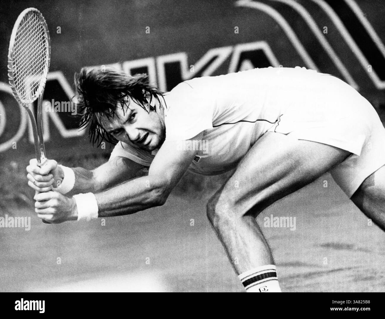 James Scott "Jimmy" Connors, sportsman, USA [automated translation ...