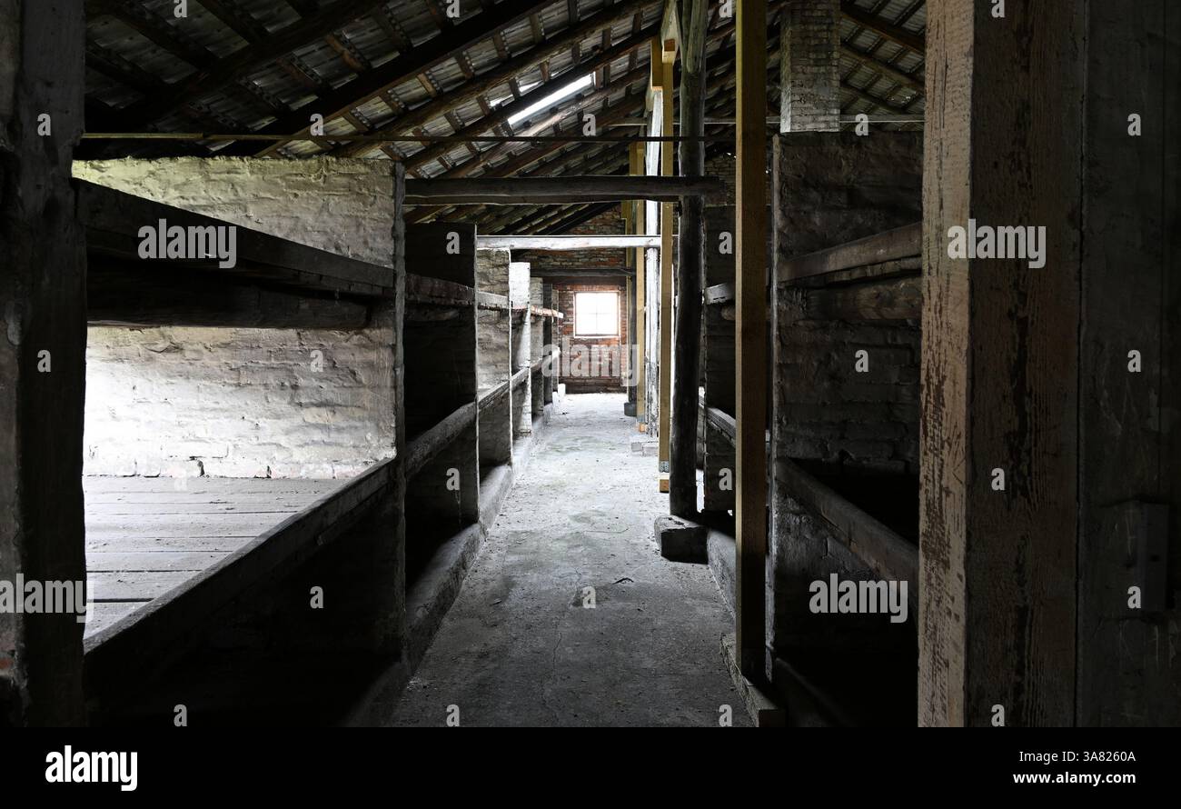 Nazi concentration camp bunks hi-res stock photography and images - Alamy