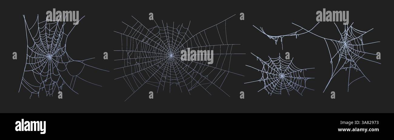 Spooky halloween old cobweb with various sizes and shapes. Old spider ...
