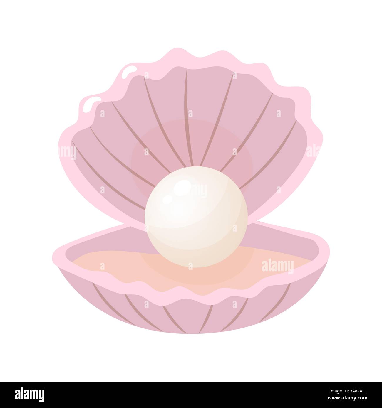 Open pink clam shell holding a large white pearl Stock Vector Image ...