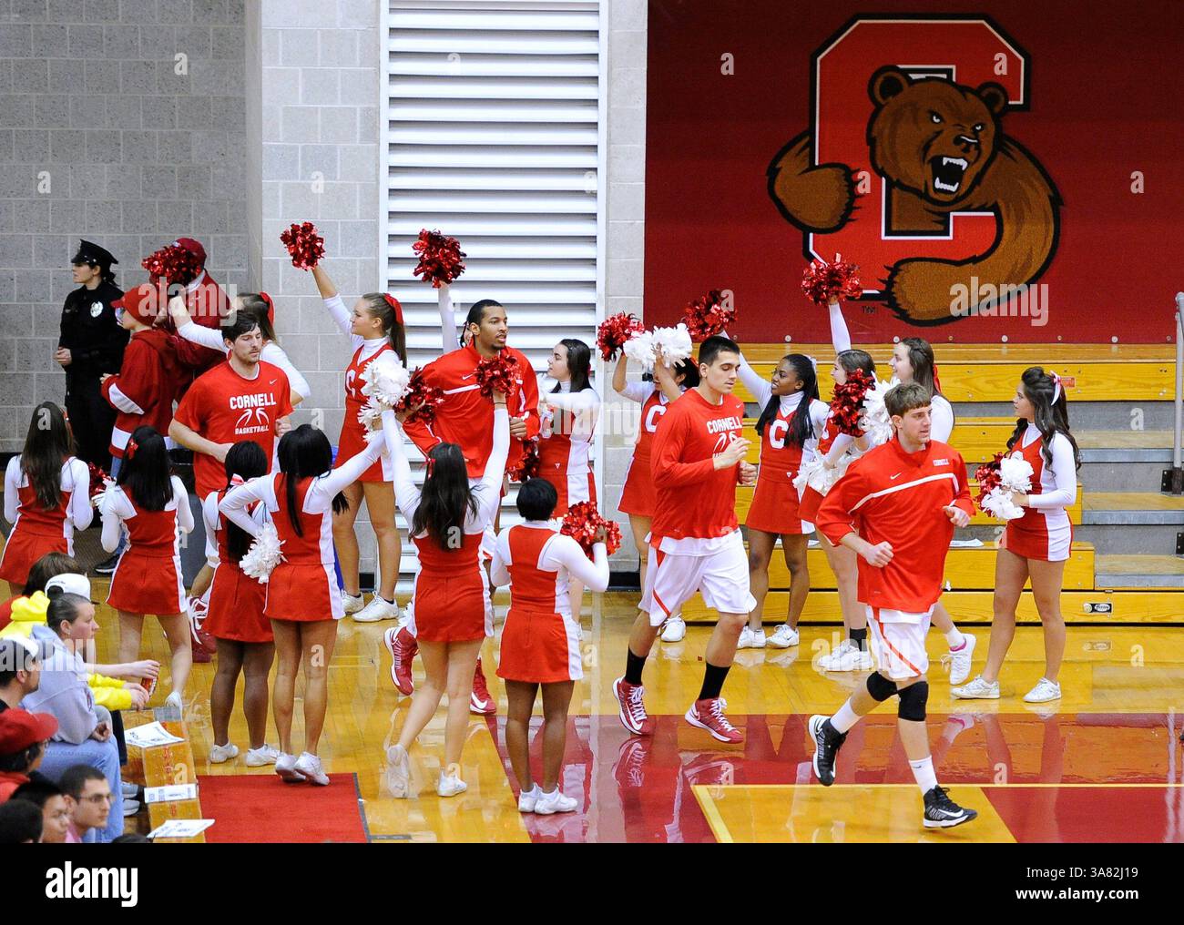 Basketball players on court start hi-res stock photography and images ...