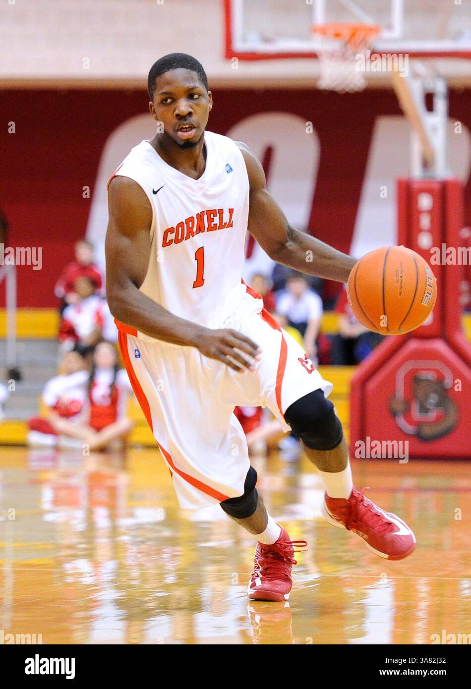 Feb. 8, 2013 - Ithaca, New York, U.S - February 8, 2013: Cornell Big ...
